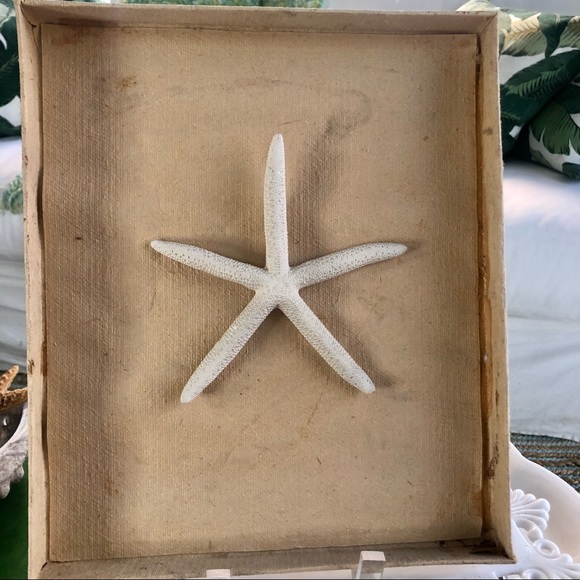 Tommy Bahama | Accents | Original Tommy Bahama Natural Leaf Linen ...